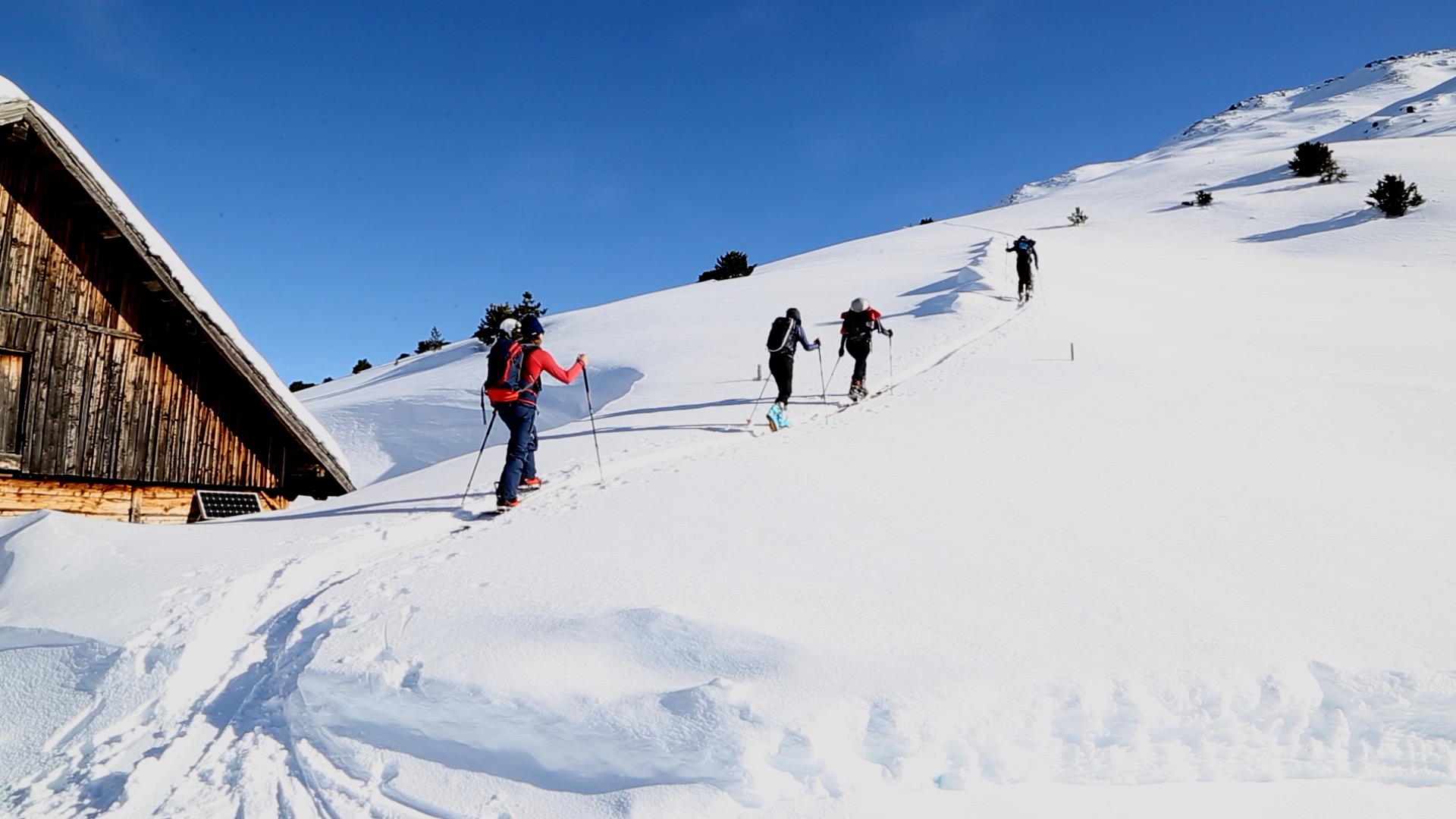 Skitour, Wald und Wild - Tirol TODAY | Tirol TV