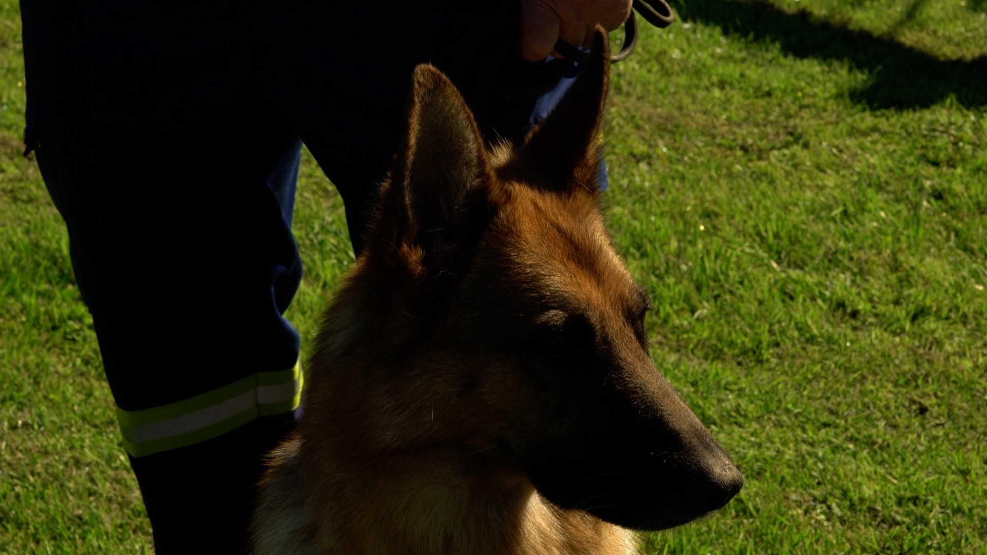 ÖRD Rettungshunde-Ausbildung - Tirol TODAY | Tirol TV